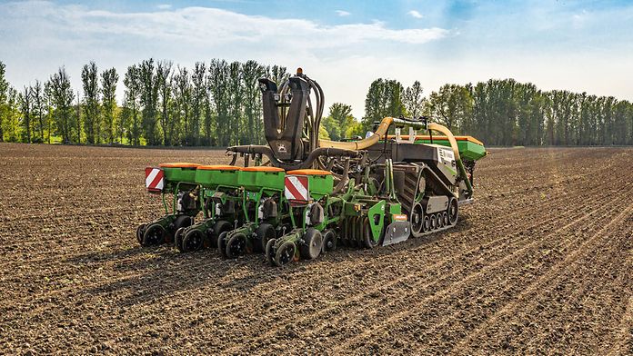Starre aufgebaute Precea: 4 bis 6 Reihen – 3 m breiter Rahmen