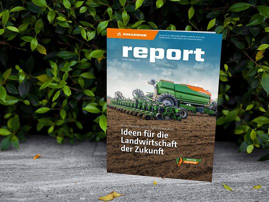 AMAZONE Report