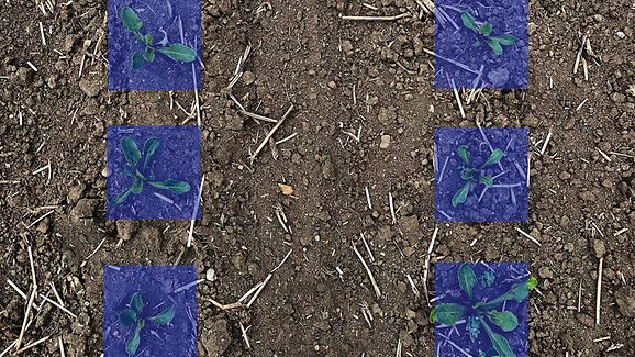 Autonome Landmaschinen, Präzisionstechnologien und Controlled Row Farming