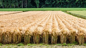 Autonome Landmaschinen, Präzisionstechnologien und Controlled Row Farming
